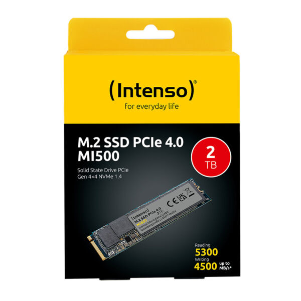 Solid State Drives - Intenso